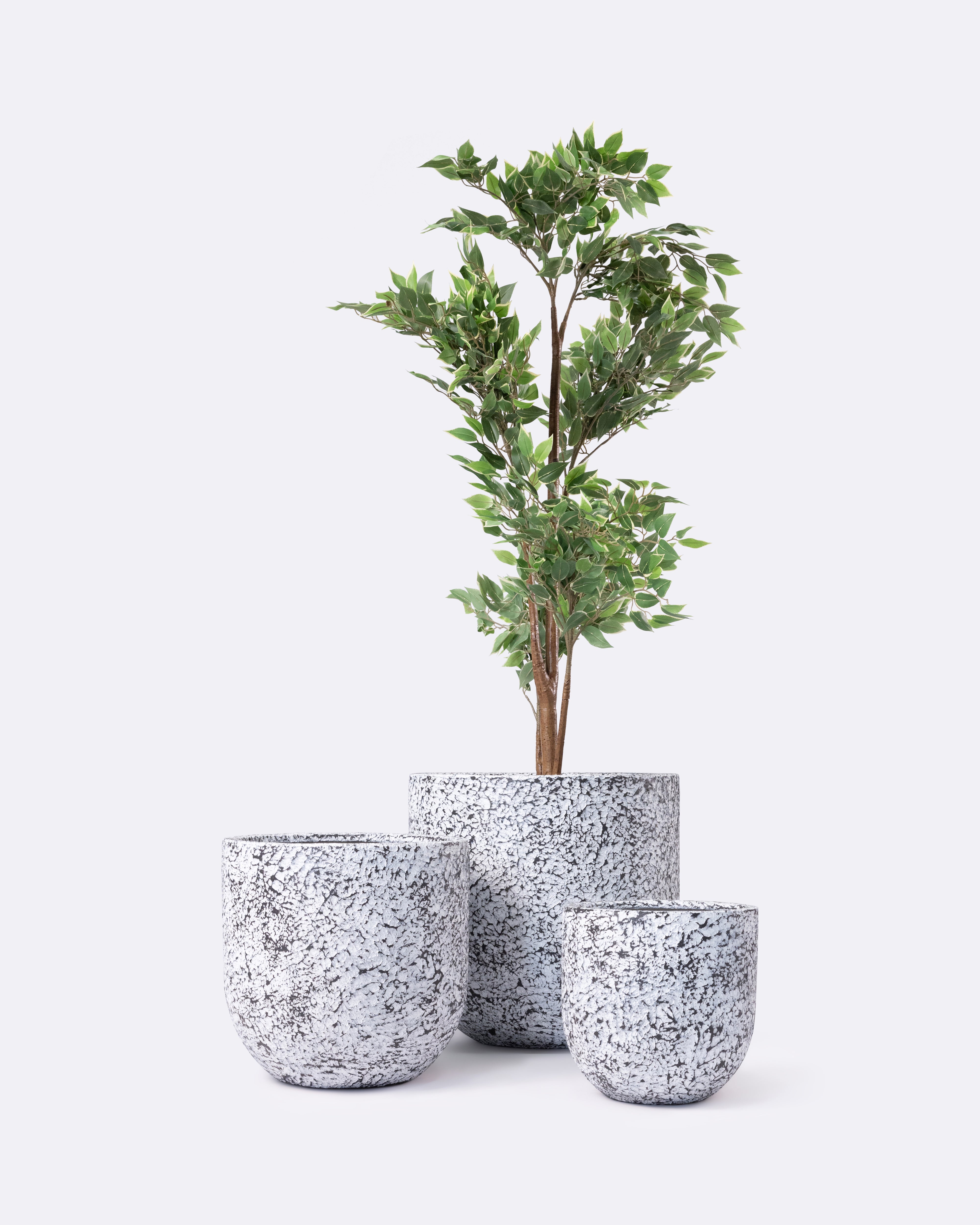 MODERN ATLANTIS - LIGHTWEIGHT – Urbanpots