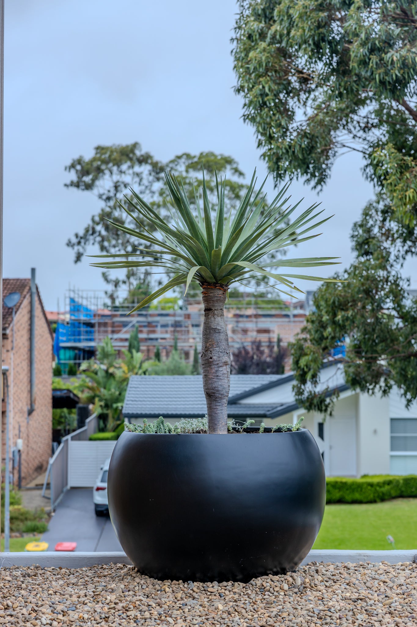 Urban Pots Australia – Urbanpots