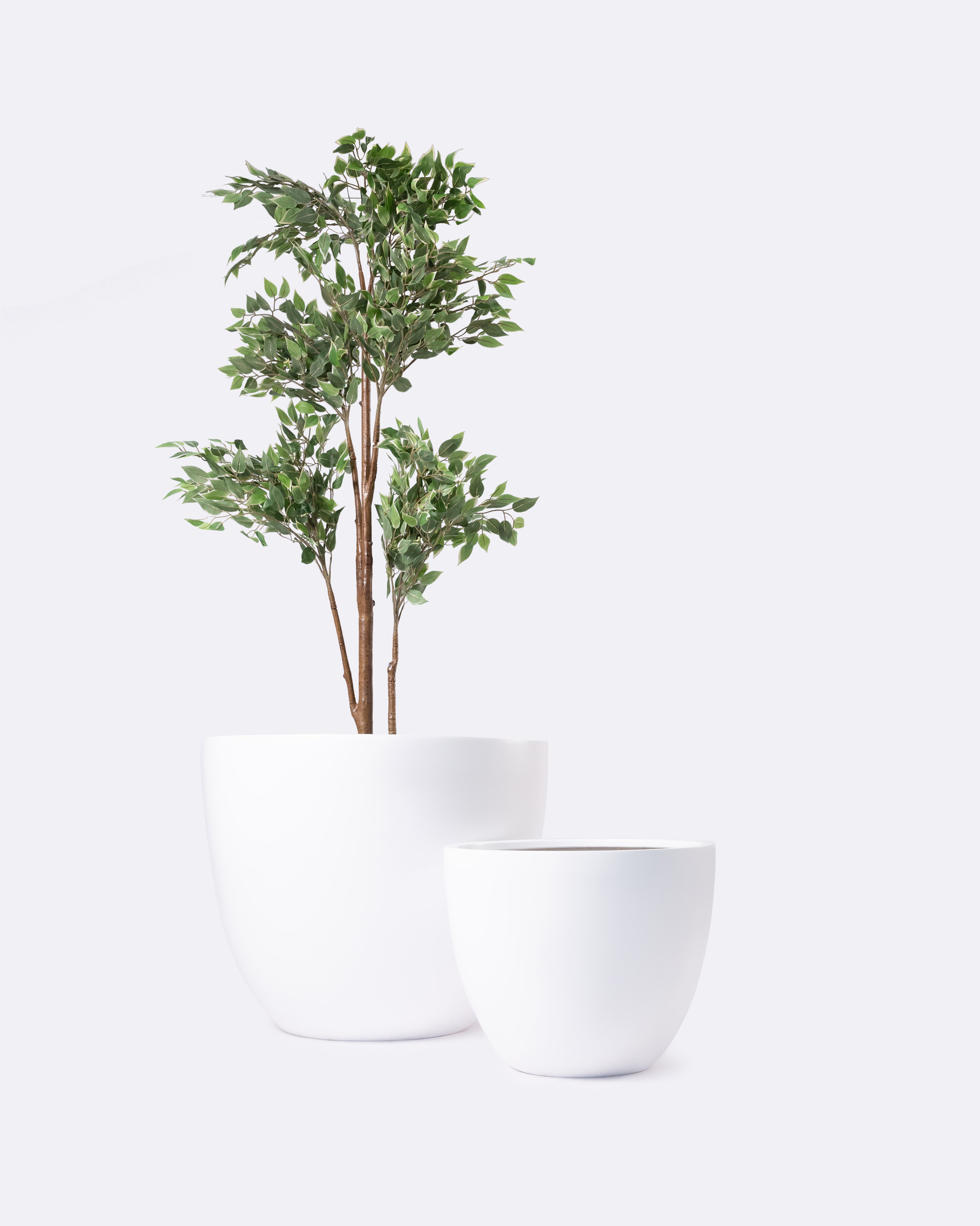 TEA CUP – Urbanpots